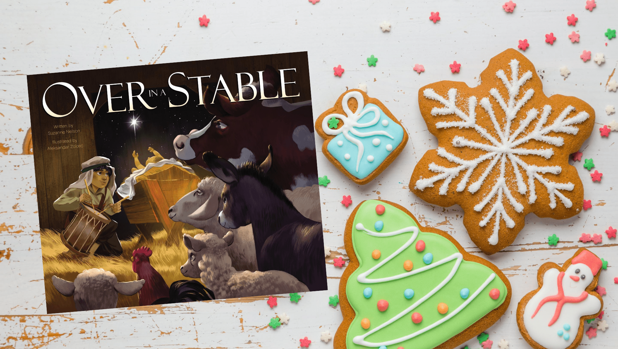 Suzanne Nelson | Middle Grade & Young Adult Author